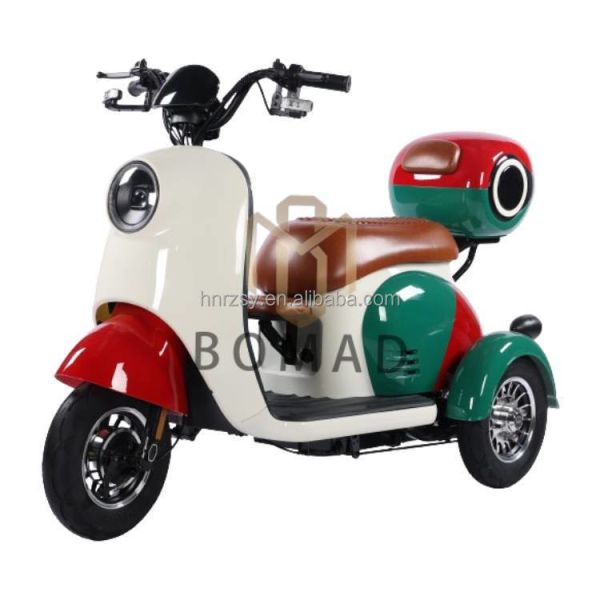 Quality 2024 Electric Tricycles Motorcycle Bike Three Wheel Electric Tricycle 3 Wheel Battery Position Rear Carrier 160X75X130 cm for sale