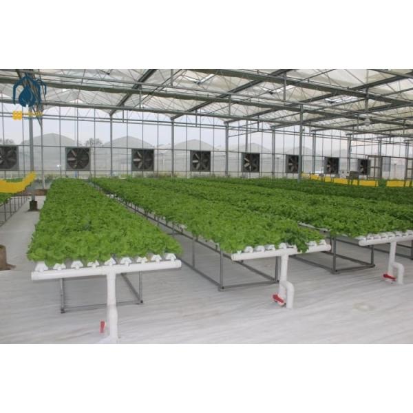 Quality UV Resistant Hydroponic Growing System Lettuce Grow NFT Hydroponic Systems for sale