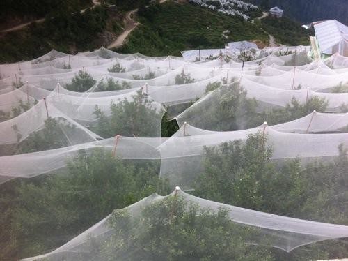 Quality Bee Proof Net Making Agricultural Netting Machine Easy Maintenance CE TUV for sale
