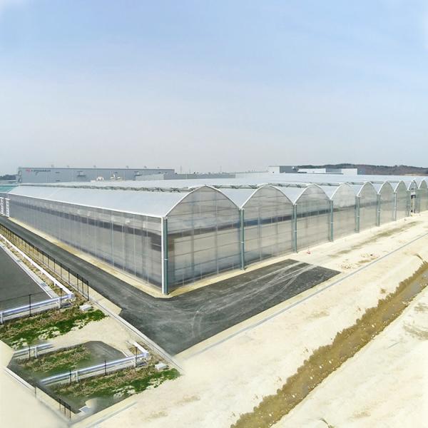 Quality Solar Polycarbonate Sheet Greenhouse / Agricultural PC Sheet Greenhouse for sale