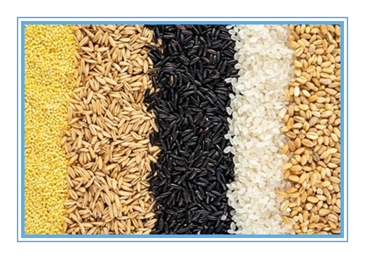Quality CCD Camera Sesame Seeds Wheat Sorting Machine for sale