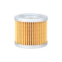 Quality 25mm Engine Fuel Filter Element Replacement C2201 FF5131 for sale