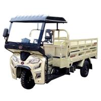 Quality 200cc Dayang Gasoline Cargo Tricycle with Three Wheels and Front Drum Rear Drum for sale
