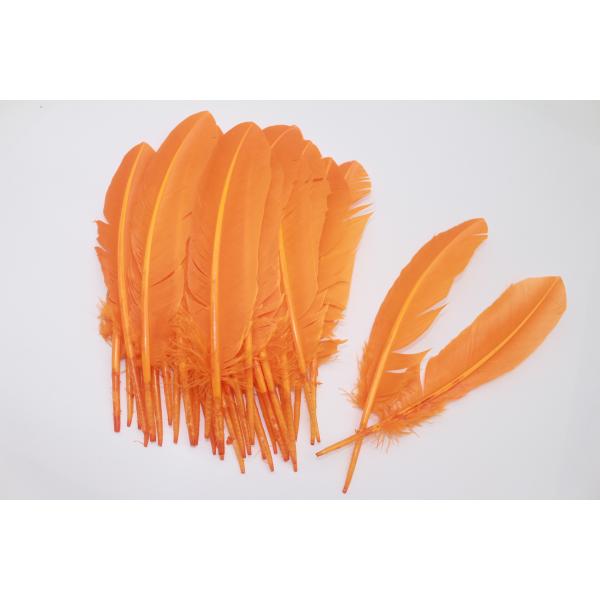Quality Party Decoration Colored Turkey Feathers Event Supplies 10-12 inch for sale