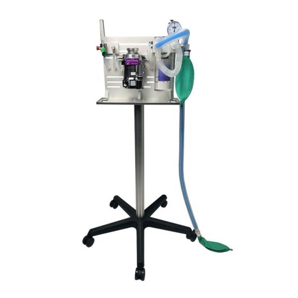 Quality Small Animal Anesthesia Machine Animals Surgery Use Veterinary Supplies for sale