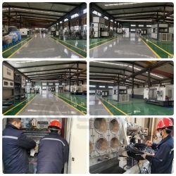 China Factory - Hunan Shuanghuan Fiber Molding Machinery Co., Ltd