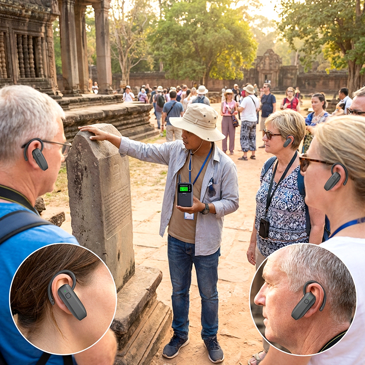 Many-to-many wireless tour guide device