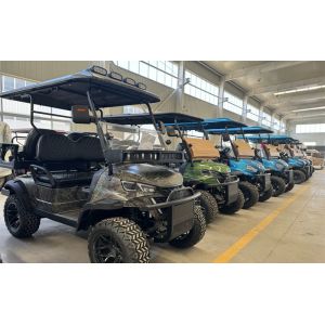 China Factory - Ace Electric Vehicle Co.,Ltd