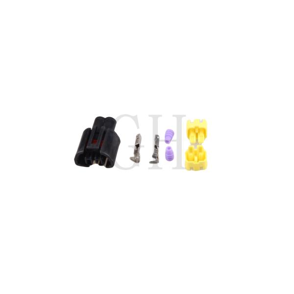 Quality AC Compressor Plug Buick Valve Plug 2 Pins Buick Docking Frequency Conversion for sale
