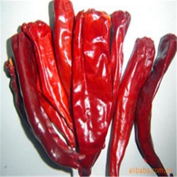 Dried Hot Chilli