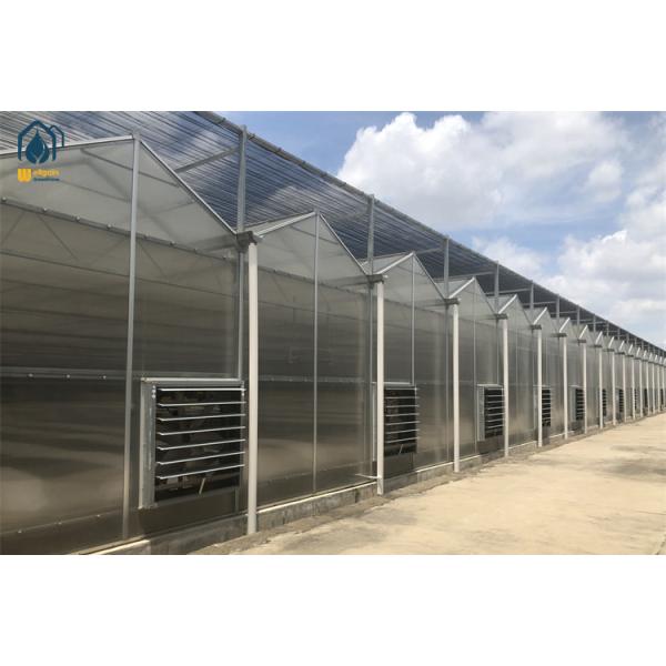 Quality Multi Wall Polycarbonate Greenhouse Customized Steel Framed Greenhouses Corrosion Resistant for sale