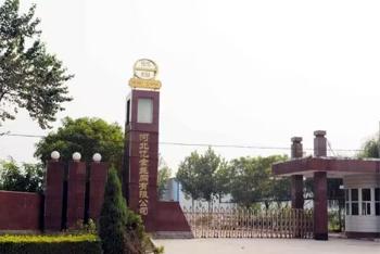 China Factory - Hebei Reking Wire Mesh Co.,Ltd
