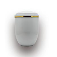 Quality Brush Gold Belt Funeral Ash Urn In Plastic Material 3.3L Volume for sale