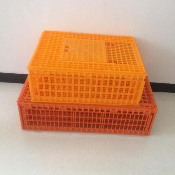 Quality Plastic baskets for poultry turnover（Red ，Orange，yellow ） for sale