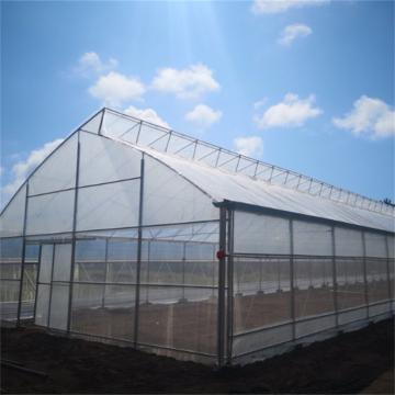 Tropical Ventilation System Sawtooth Single Span Greenhouse For Vegetables