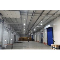 Quality 40mm Panel Insulated Cold Room Doors Return Room Outer Door Electric Manual for sale