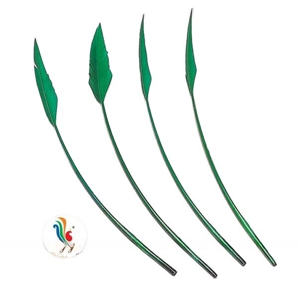 Quality Dyed Arrow Head Striped Turkey Feather Quill with Silk Screen Printing for sale