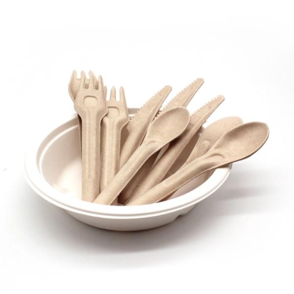 Quality Biodegradable Bagasse Eco Friendly Disposable Cutlery 141.7mm Compostable Forks for sale