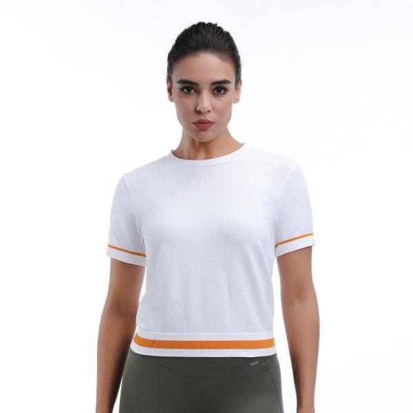 Quality Cropped Mesh Workout Short Sleeve Tops 92% Nylon 8% Spandex for sale