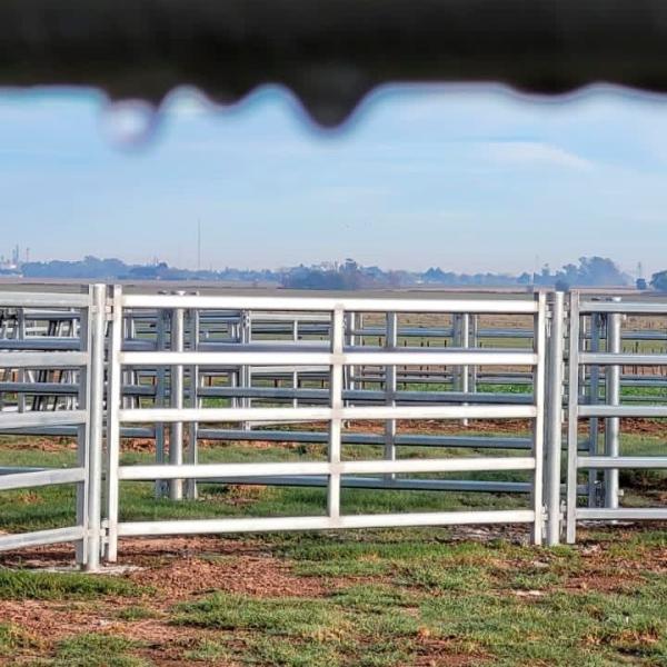 Quality Length 2.1m Heavy Duty Sheep Livestock Panels Round Tube Square Tube Oval Tube for sale