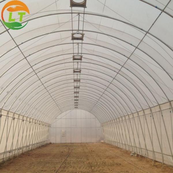 Quality Film Cover Single-Span Agricultural Greenhouses for Agricultural Cultivation for sale