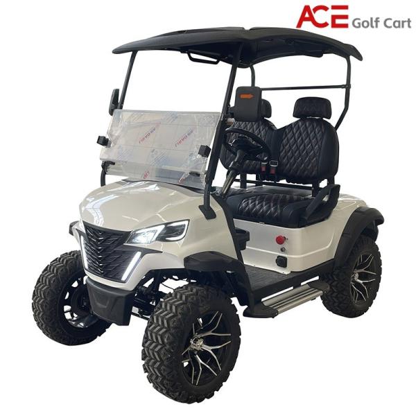 Quality Carbon Steel Frame Electric Off Road Golf Cart 2 Seater Capacity Strength for sale