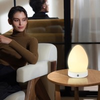 Quality 12V DC Output Voltage 360 Degree Egg Light Therapy Lamp USB Charging 5 Level for sale