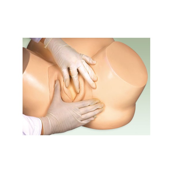 Quality Vacuum delivery Child Birth Simulator obestetric demonstration for doctors and nurses for sale