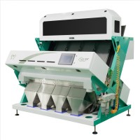Quality Wenyao Farm Machines 4 Ramps Optical Sorter Supplier Wheat Color Sorter for sale