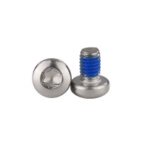 Quality Pan head Torx slot full threaded nylon glue patched machine screws for sale