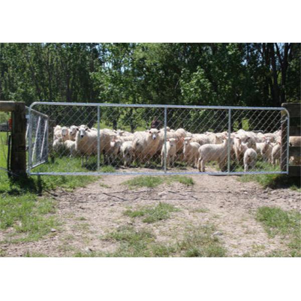 Quality Hot Galvanized 75X75MM Chain Length Fence Gate For Sheep Yard for sale
