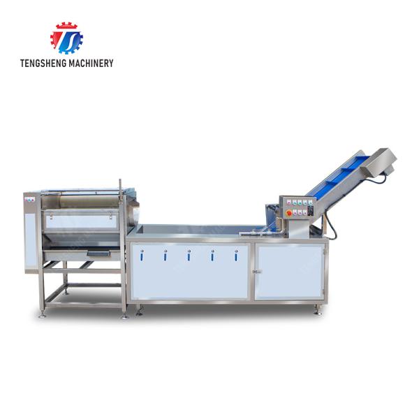 Quality Citrus cleaning production line Fruit Orange Wash Washer Washing Cleaning Dryer for sale