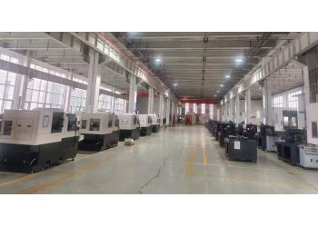 China Factory - shandong lu young machinery co.,ltd