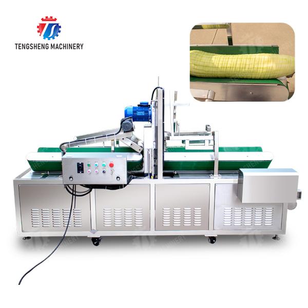 Quality Large winter melon peeling machine papaya chieh-qua pumpkin wax gourd pineapple for sale
