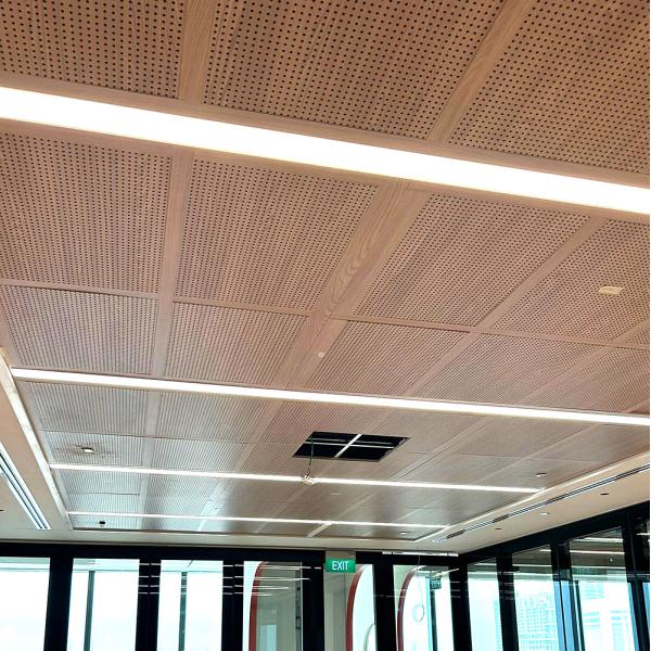 Quality 16/16/6mm  Conference Hall Perforated Acoustic Panel Soundproof Wall Interior Decorative for sale
