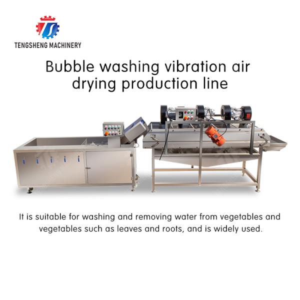 Quality Bubble washing vibration air drying production line Orange Vegetable Herbs Fruit for sale