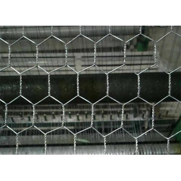 Quality Electro Galvanized After Weaving Hexagonal Chicken Wire Mesh Netting for sale