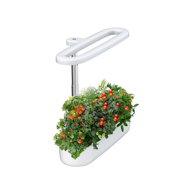 Quality Breathable AC90V 12w Hydroponic Growing System Full Spectrum for sale
