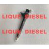 Quality BOSCH FUEL INJECTOR 0445110738 0 445 110 738 1042210FE010 1042200FE010 for sale
