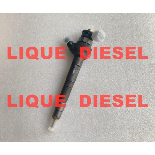 Quality BOSCH FUEL INJECTOR 0445110738 0 445 110 738 1042210FE010 1042200FE010 for sale