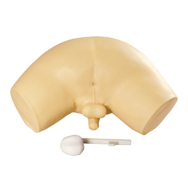 Quality Prostate examination simulator / Clinical simulation with invasive cancer for sale