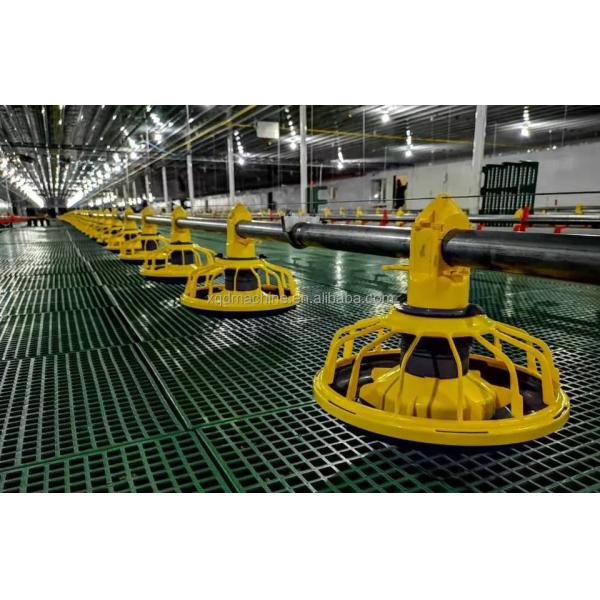 Quality Intelligent Automatic Broiler Feeding System Hopper Poultry Feeder for sale