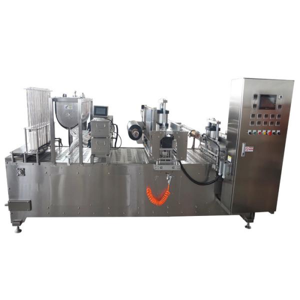 Quality Stainless Steel Bottle Pouch Packing Machine For Customized Solutions for sale