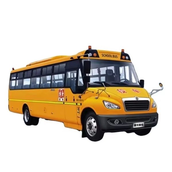 Quality 50 Seater Diesel Engine School Bus for City Transportation YC4E160-20 for sale