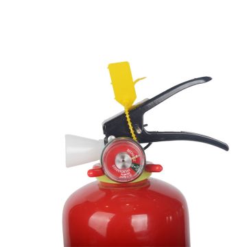 Quality SAFEWAY 2kg Dry Powder Fire Extinguisher Convex Ring Portable for sale