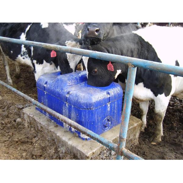 Quality LLDPE Livestock Water Trough for sale
