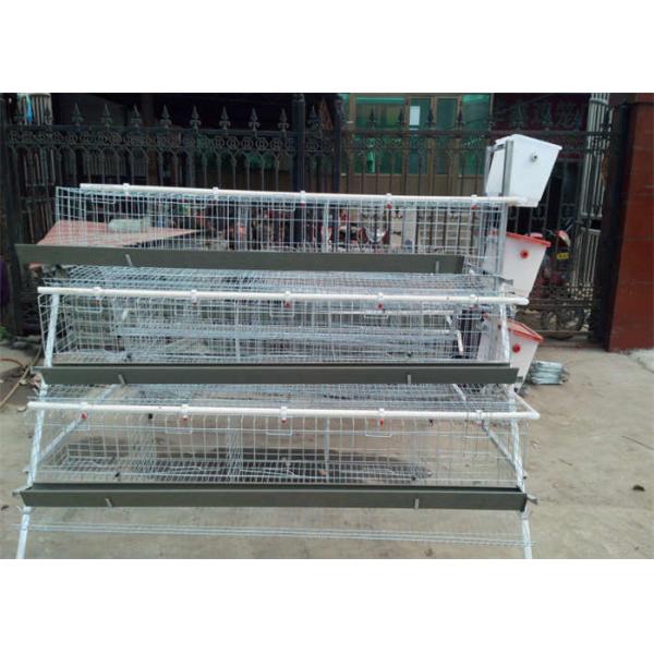 Quality 4 Tier 5 Doors Layer Chicken Cage 2300mm Width Poultry Layer Cage for sale