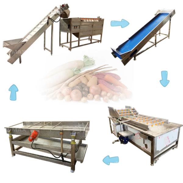 Quality Onion Washing And Peeling Machine For Stachys Sieboldii With 500kg/h Capacity for sale