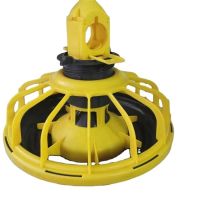 Quality Automatic feeding pan system bird feeders poultry equipment for sale