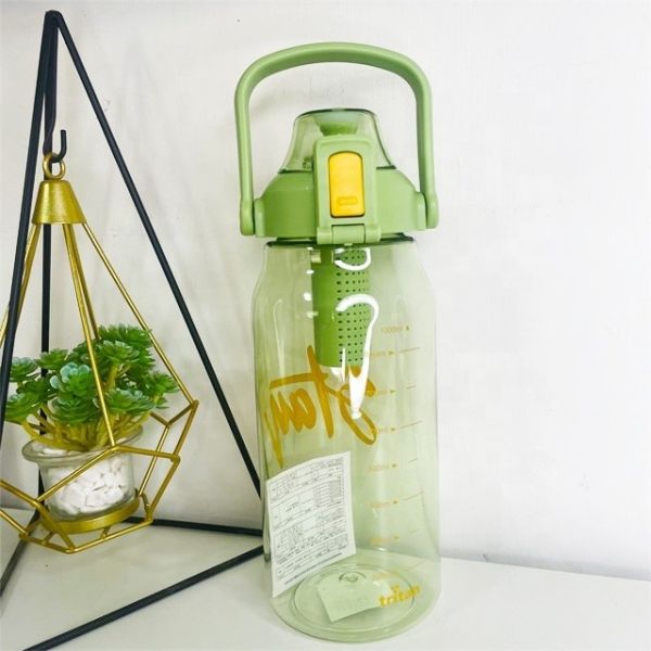 Quality Travel Fruit Infusing Water Bottle 1000ml Tritan Sports Plastic Teabag Infusion Bottle for sale